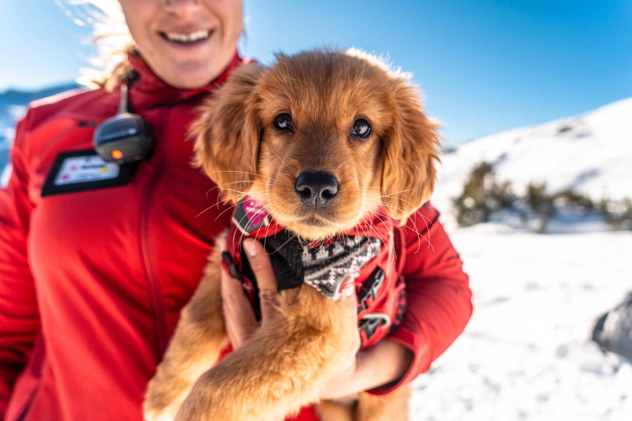 The 2024 Bark Bracket | Lifted by Ikon Pass | Lifted